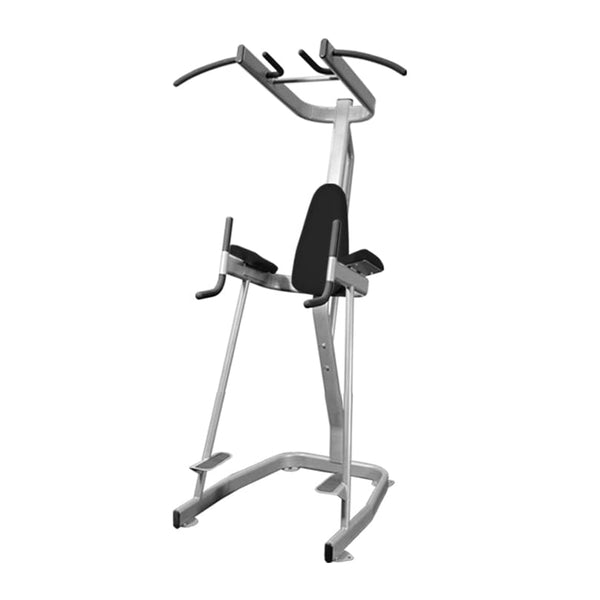 Muscle D Free Weight Line Vertical Knee Raise Pull Up Station BM-VKRC ...